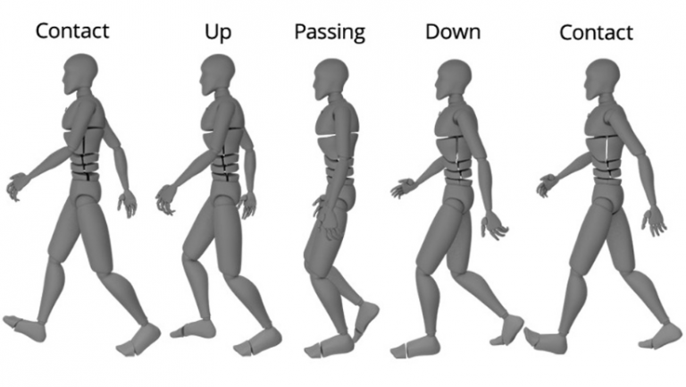 How to Create a Walking Animation for Characters in Blender